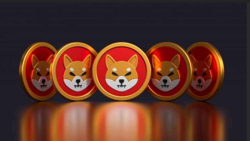 Shiba Inu Coin Joins K-Pop Festival With Squid Game Challenges & Rap ...